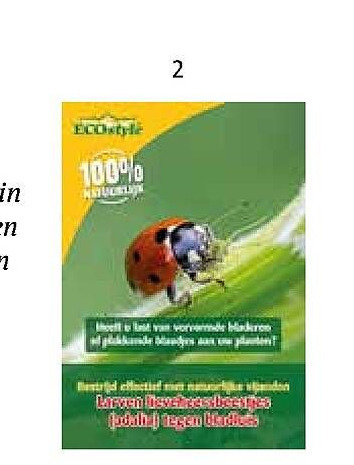 Ecostyle larven lieveheersbeestjes aanbieding bij Intratuin