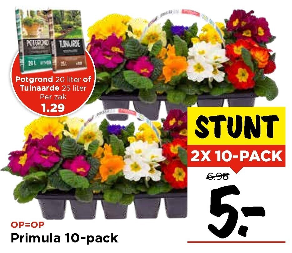 Primula 10-pack aanbieding bij Vomar