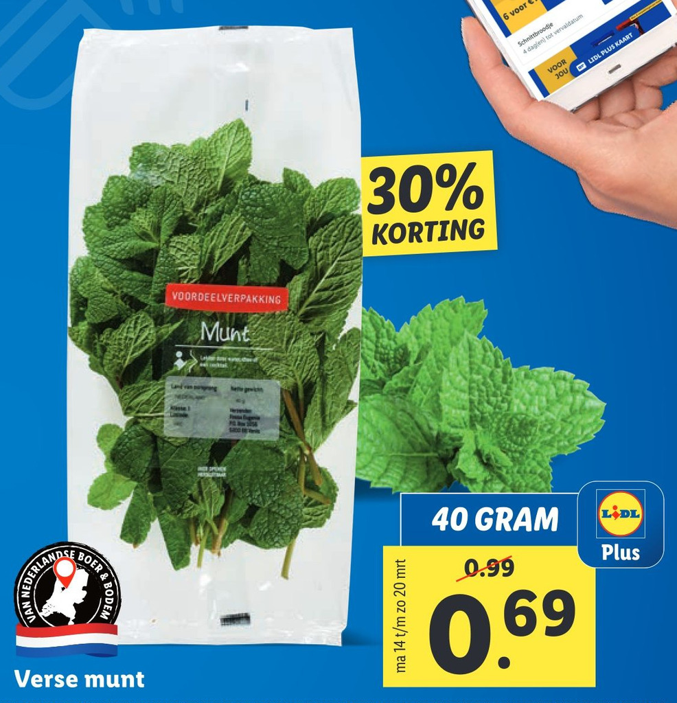 Verse munt aanbieding bij Lidl