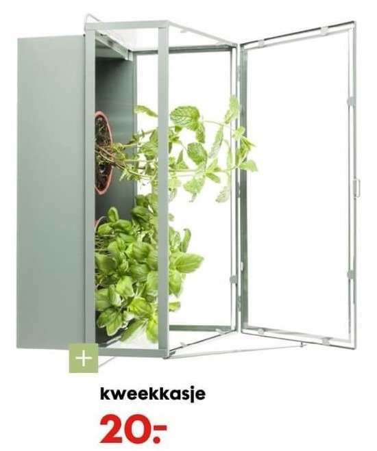 Kweekkasje aanbieding bij HEMA