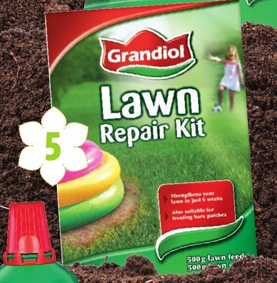 Grandiol Gazonherstelmix 1 kg aanbieding bij Lidl