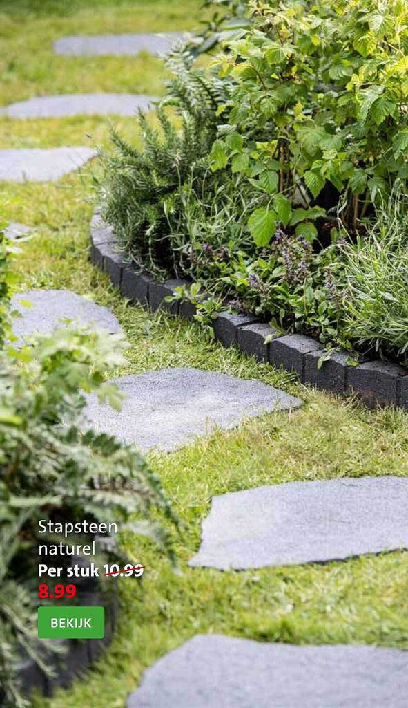 Stapsteen Naturel aanbieding bij Intratuin