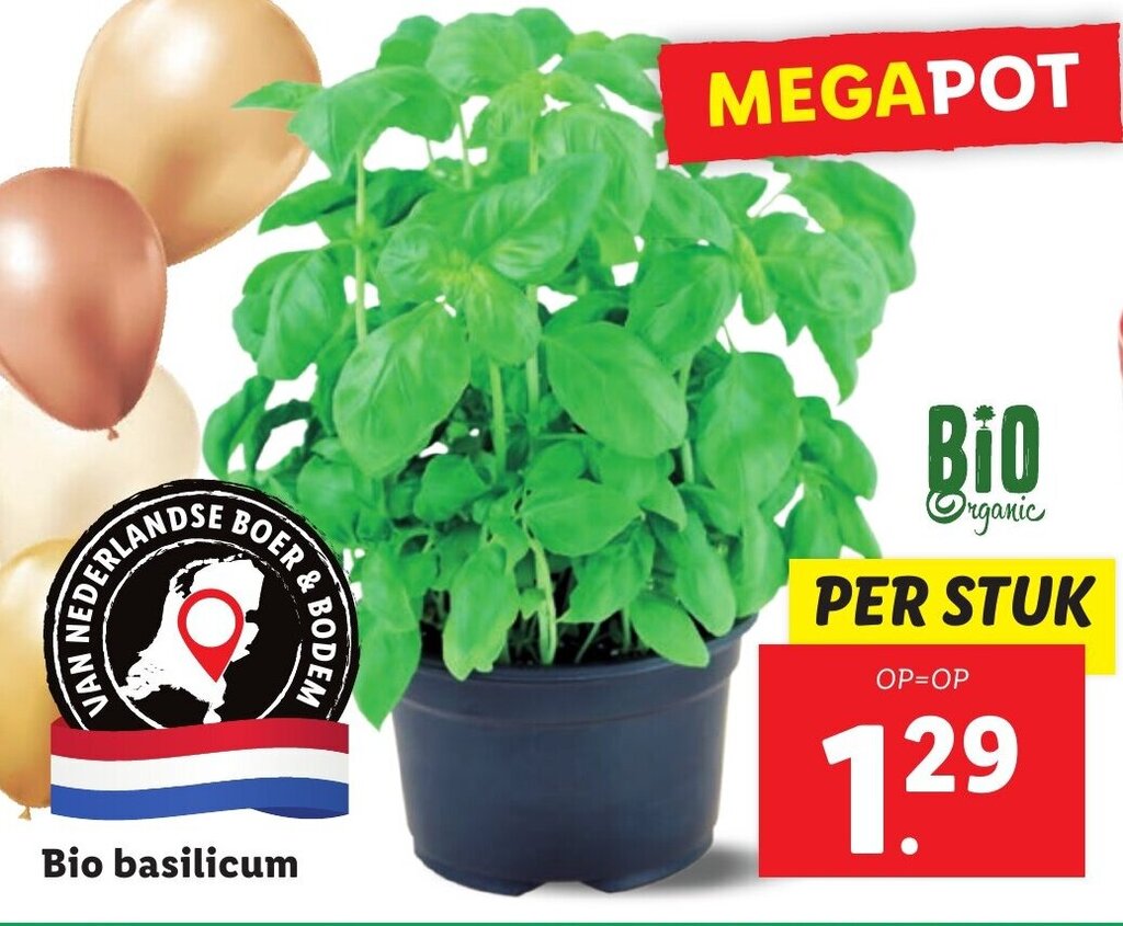 Bio basilicum aanbieding bij Lidl