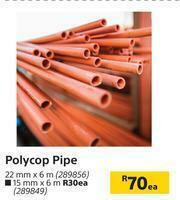 Polycop Pipe 22mm x 6m-Each offer at Builders Warehouse