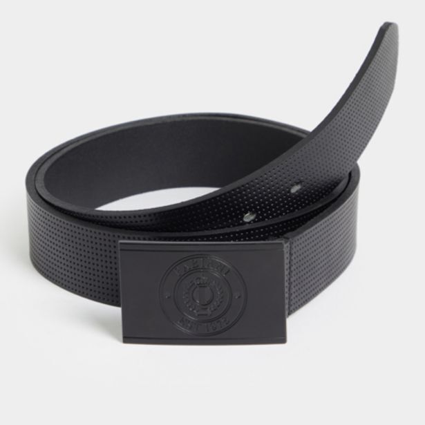 Shield specials Fabiani – Jul 2025