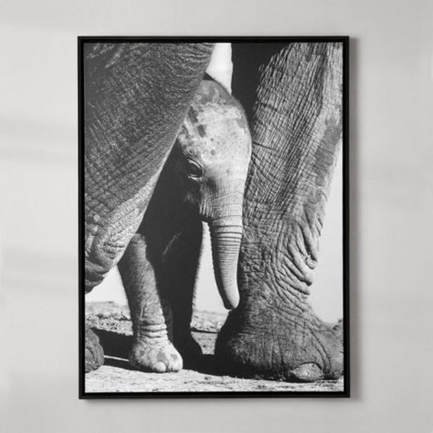 Protected artwork offer at Weylandts