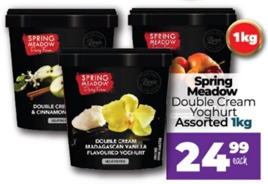 Spring Meadow Double Cream Yoghurt assorted 1kg offer at Take 'n Pay
