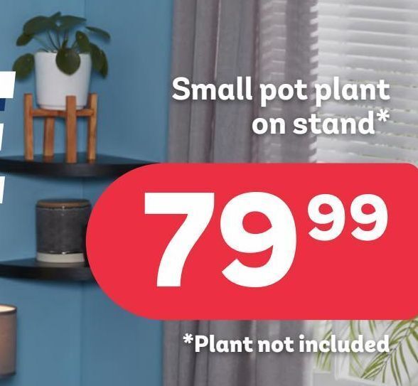 All Pots offers - Find and view the cheapest Pots offer!