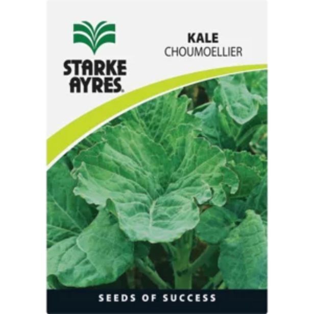 Starke ayres kale variety vegetable seeds offer at Shoprite