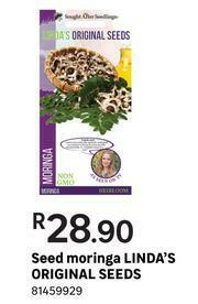 Linda's Original Seeds Seed Moringa offer at Leroy Merlin