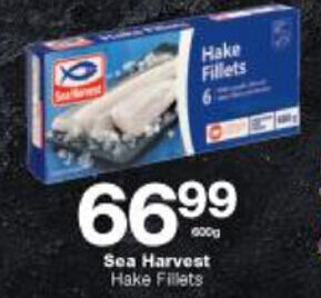 Sea Harvest Hake Fillets offer at Checkers