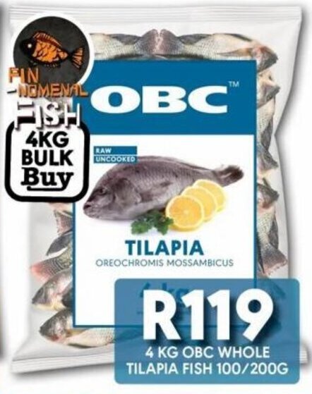 4 KG OBC WHOLE TILAPIA FISH 100/200G offer at OBC Meat & Chicken
