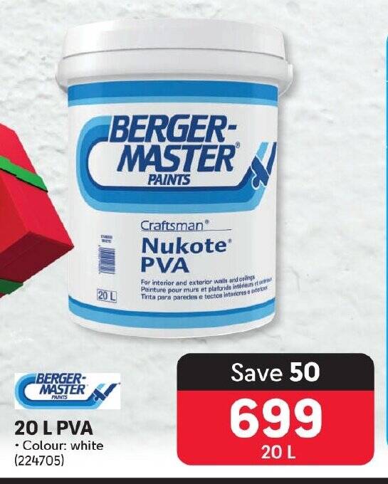 BERGER-MASTER 20 L PVA offer at Makro