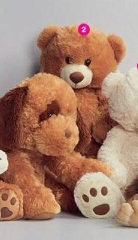 All Bear offers - Find and view the cheapest Bear offer!