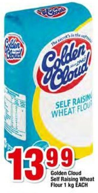 Golden Cloud Self Raising Wheat Flour 1kg offer at Megasave