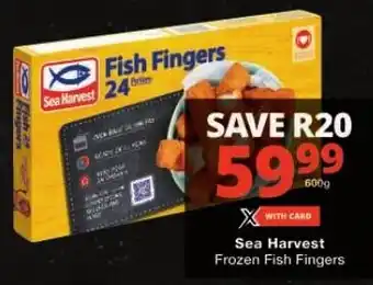 All Fish offers - Find and view the cheapest Fish offer!