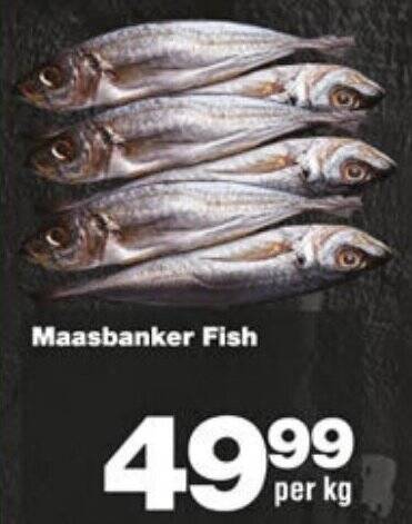 All Fish offers - Find and view the cheapest Fish offer!