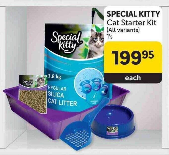 SPECIAL KITTY Cat Starter Kit (All variants) 1's offer at Makro