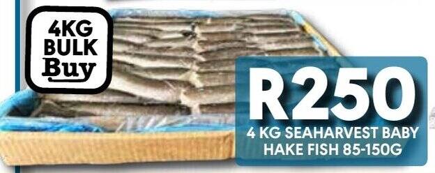 4 KG SEAHARVEST BABY HAKE FISH 85-150G offer at OBC Meat & Chicken