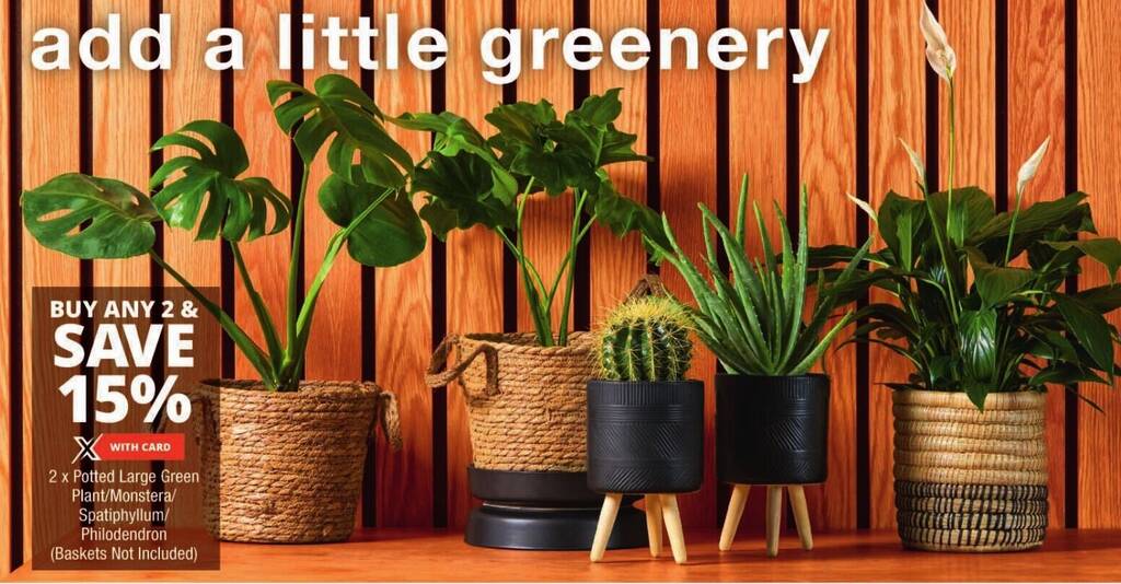 Plant specials Checkers – Apr 2025