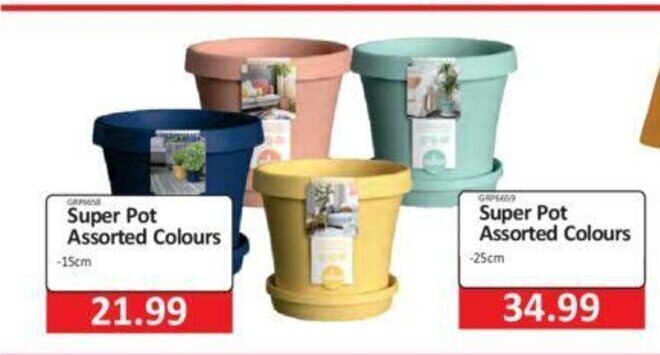 Super Pot Assorted Colours 15cm offer at KitKat Cash and Carry