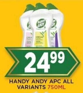 Handy Andy specials Goal Supermarket – Jun 2025