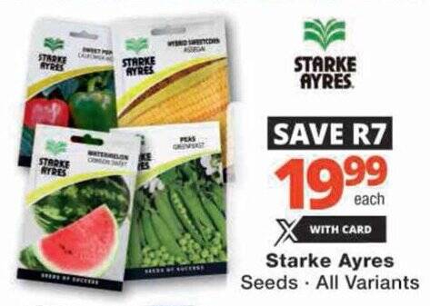 Starke Ayres specials Checkers Hyper – Apr 2025