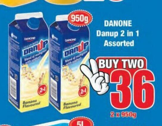 Danone Danup 2 in 1 Assorted 2 x 950g offer at Boxer