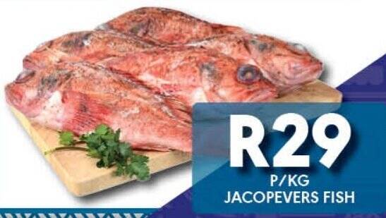 Fish specials at OBC Meat & Chicken – Sept 2025