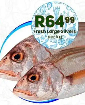 Fresh large silvers offer at Take 'n Pay
