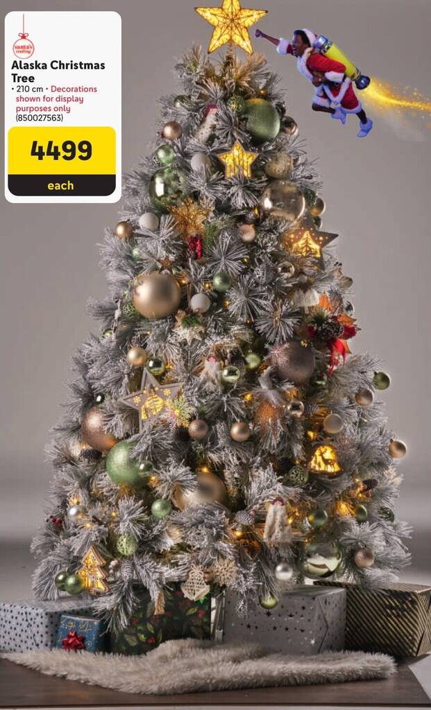Alaska Christmas Tree offer at Makro