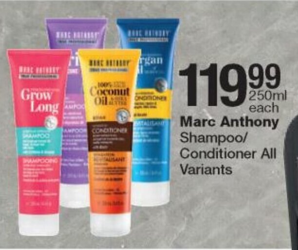 Marc Anthony Shampoo/Conditioner 250ml offer at Checkers